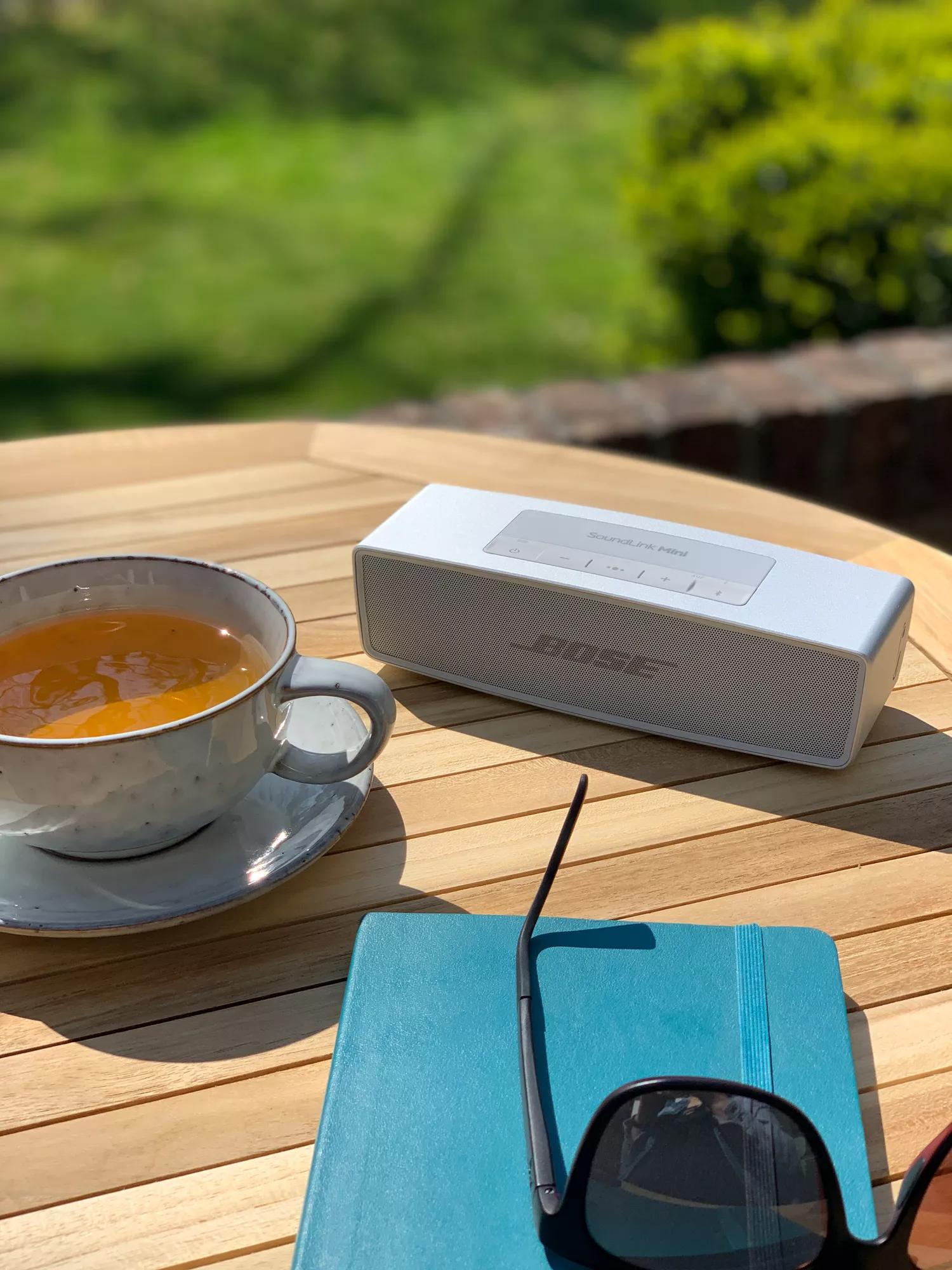 Bose Mini Speaker Price